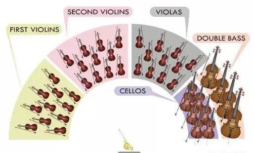 北京乐器学会 乐器 文化低音提琴Double Bass